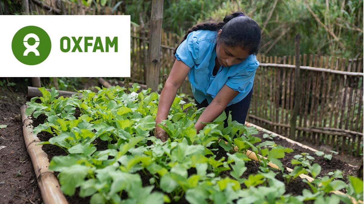 Empleos y convocatorias | Oxfam LAC